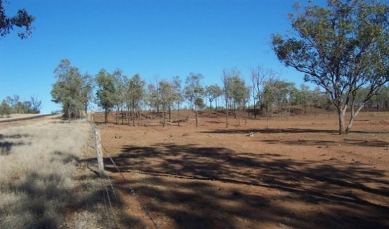 Fitzroy and Capricornia - Regional Drought Resilience Planning